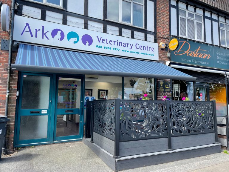 Ark Vets | Contact Us